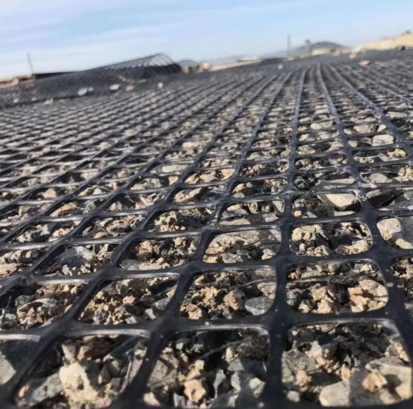 Geogrid 40/40 100sqm roll - bobjones